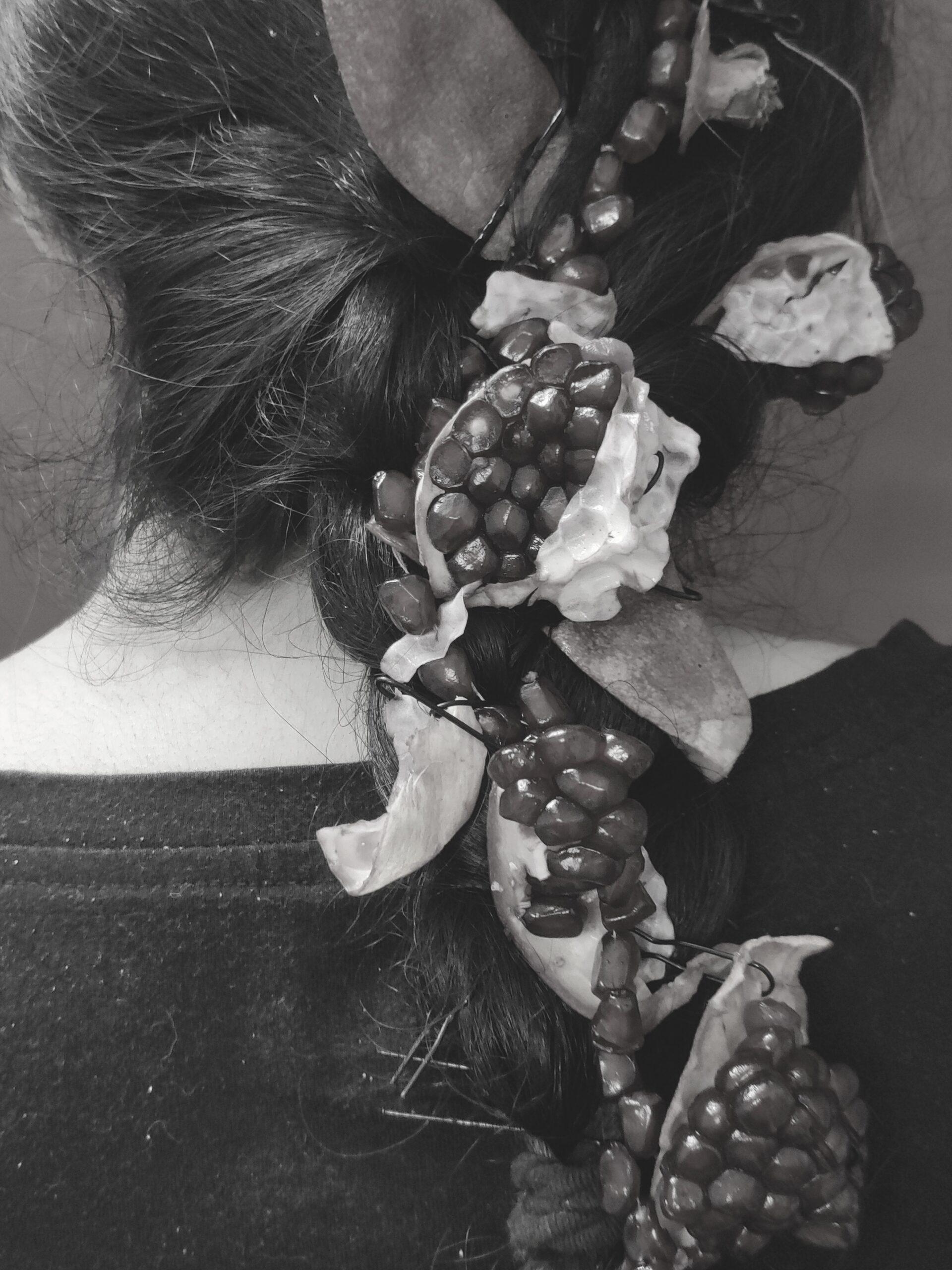 Sowing seeds – crownproject-2024